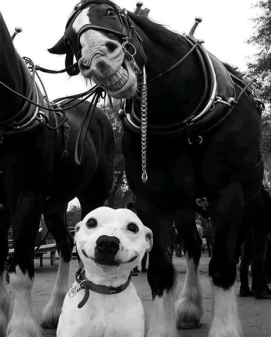 Hellloooooooo!!!! - 9GAG