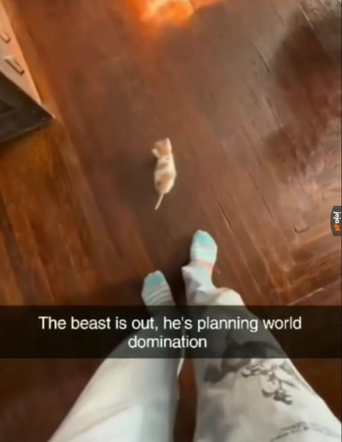 Beast, The One Who Gives, And The One Who Takes - 9GAG