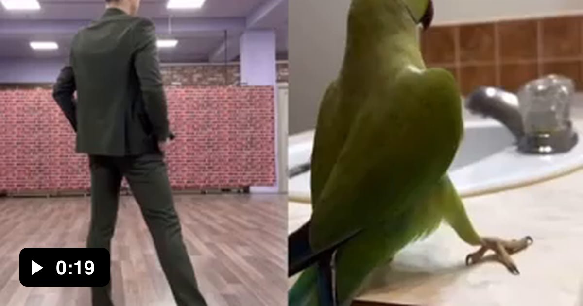 You will love this dance - 9GAG