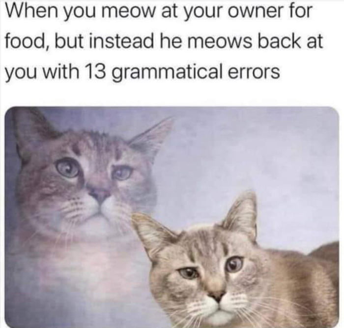 Meow meow - 9GAG