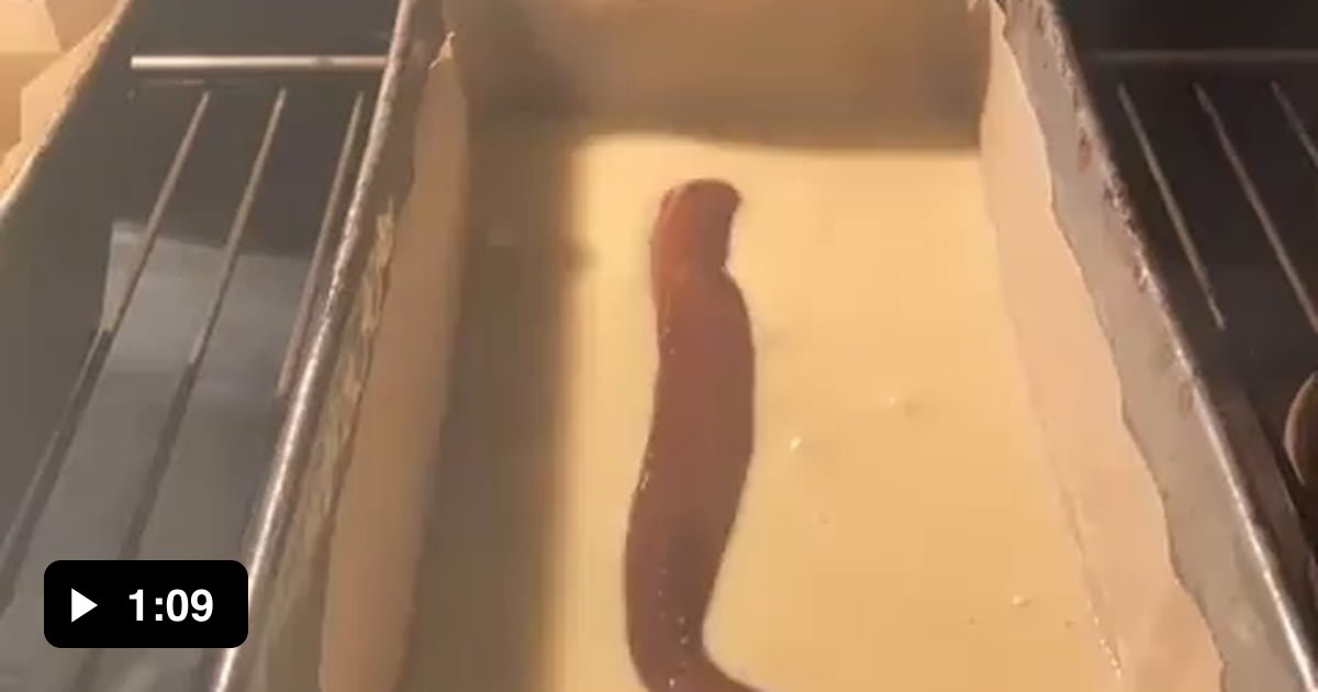 Baked goods getting baked - 9GAG