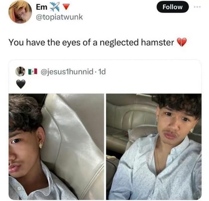 The Eyes of a Neglected Hamster - 9GAG