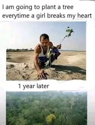 Love is Forest - 9GAG