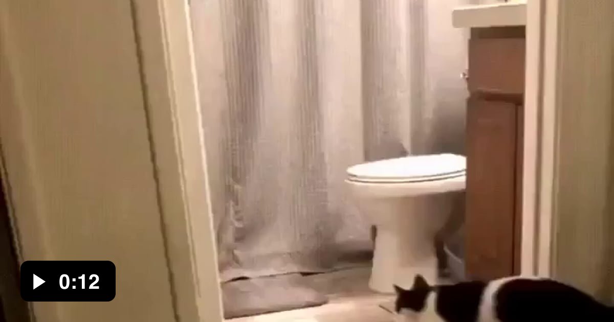 Cat's logic..🐈🐾😅 - 9GAG