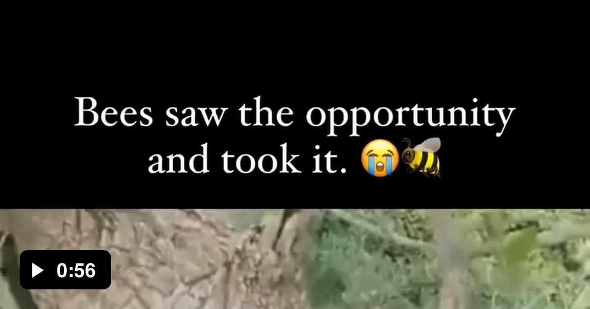 Man drops the smoke and gets attracted by a swarm of bees - 9GAG