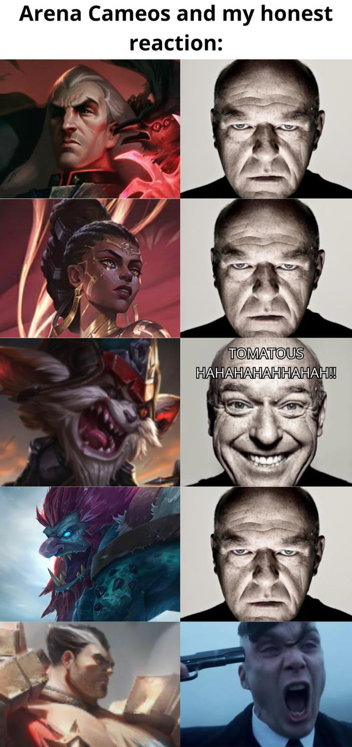 Arena cameos in a nutshell ( What is your favorite? ) - 9GAG