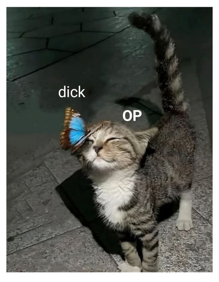 Ei... wait... wtf - 9GAG