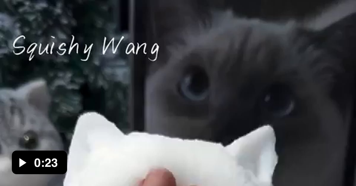 The forbidden marshmallow... you can eat it, but only once... - 9GAG