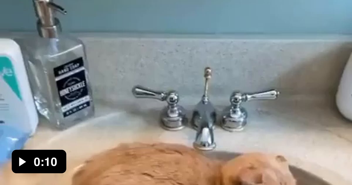 It must be submerged here somewhere - 9GAG