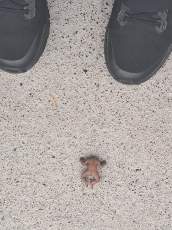 Tiny headless baby on the footpath. - 9GAG