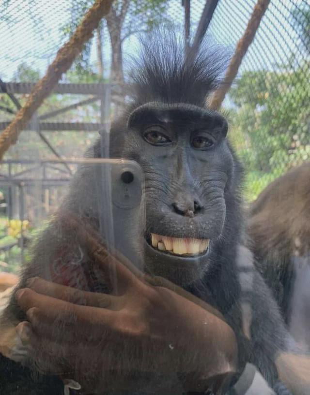 What a great timing - 9GAG