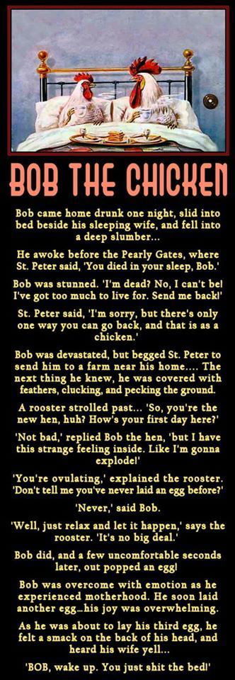 Come on Bob... - 9GAG