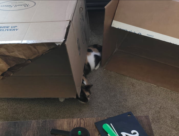 How duz box werk? - 9GAG