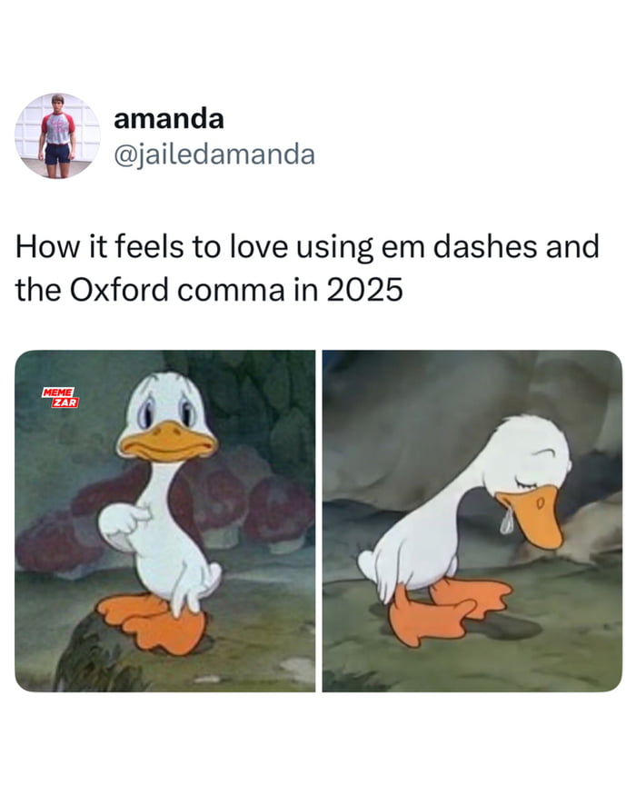 Holding onto those grammar rules like it's 2024. - 9GAG