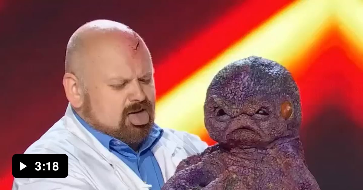 Hilarious Octopus Makes Judges Howl With Laughter! 🤯 - 9GAG