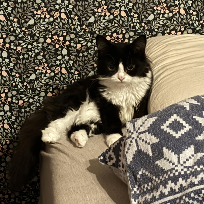 Perfect princess Pixie - 9GAG