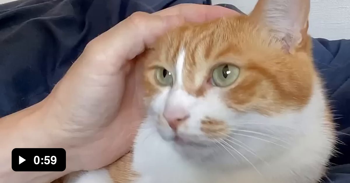 The most offensive smell in the world: Weeb. - 9GAG