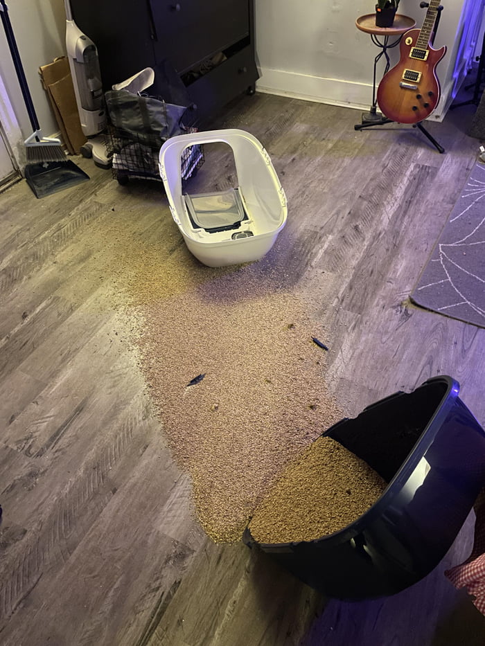 Handle on litter box broke - 9GAG
