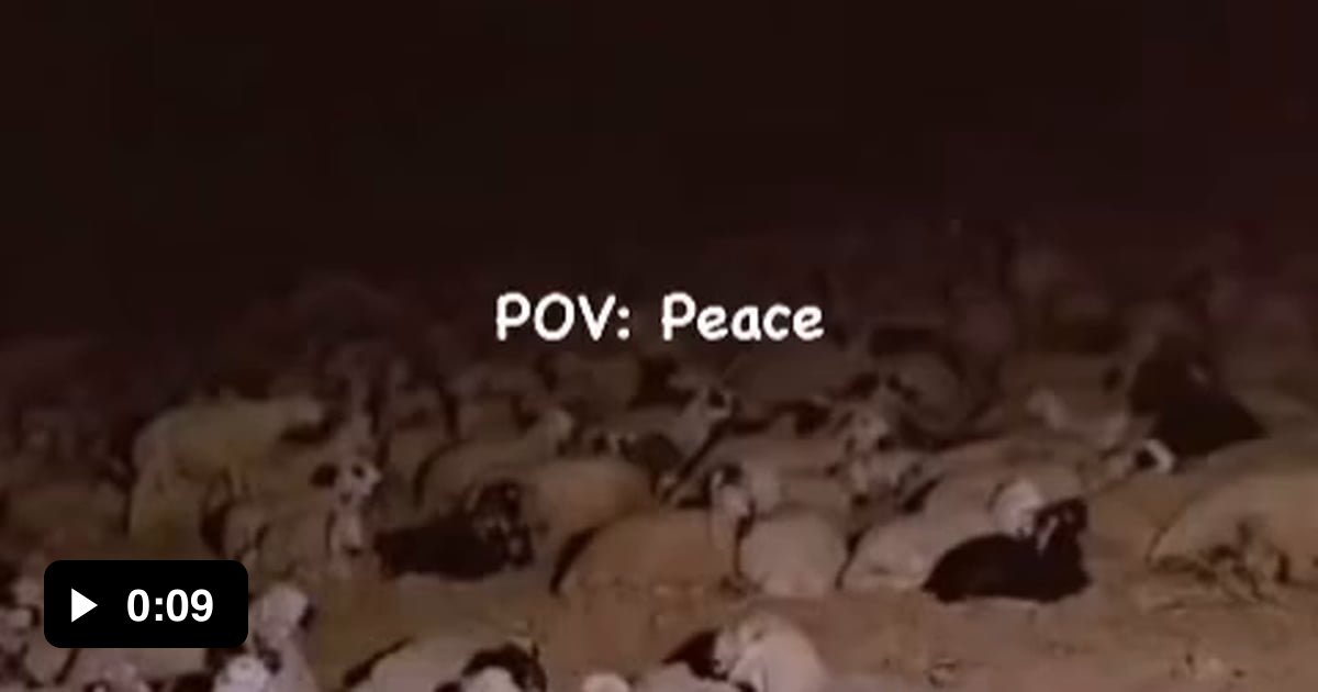 Pov Peace 9gag