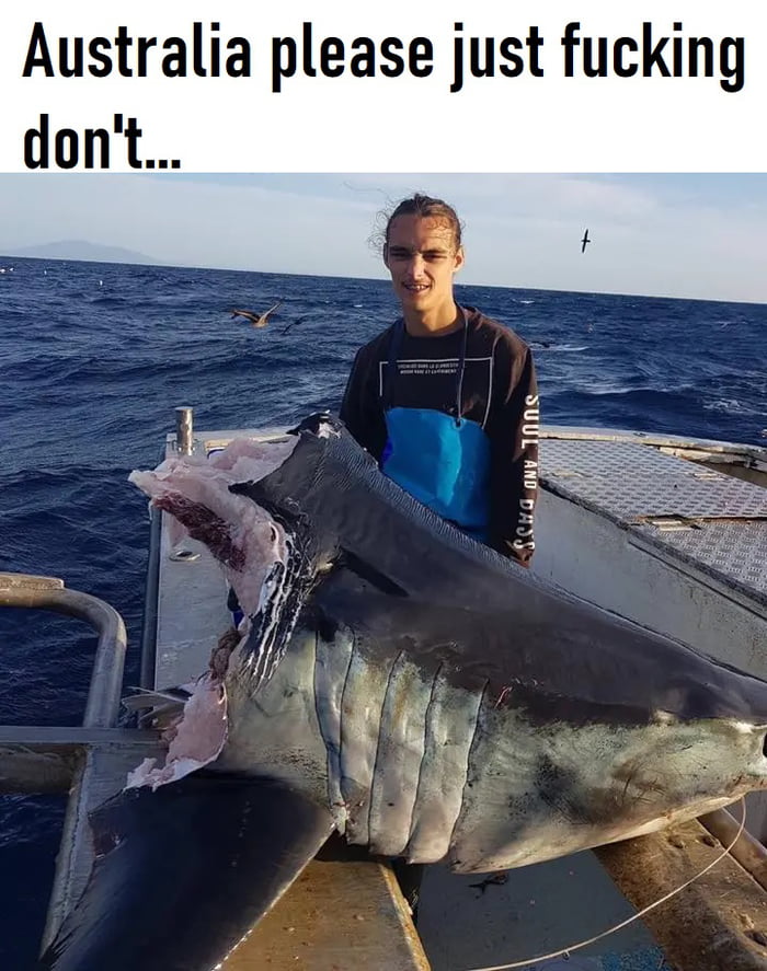 Australia is doing it again... - 9GAG