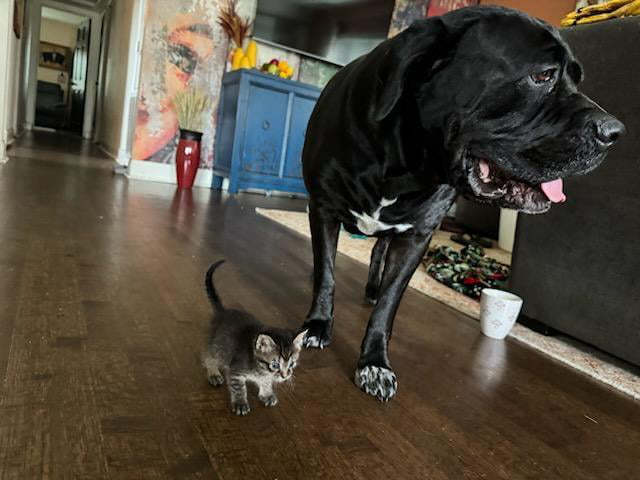 Smol boy, big girl - 9GAG