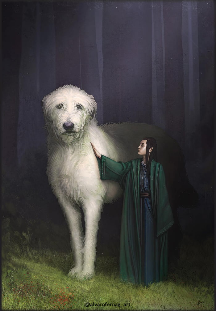 Giant doggo and his elf friend, what a duo - 9GAG