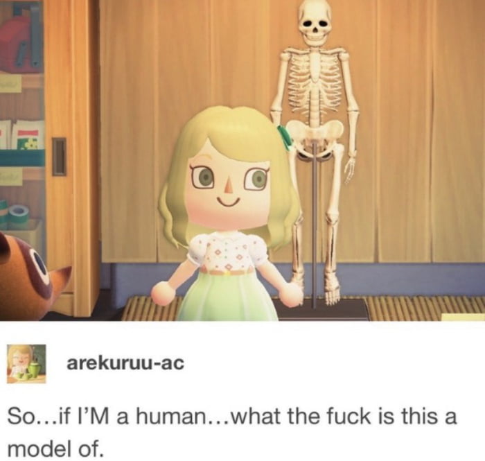 If I'm a human, what is this a model of? - 9GAG