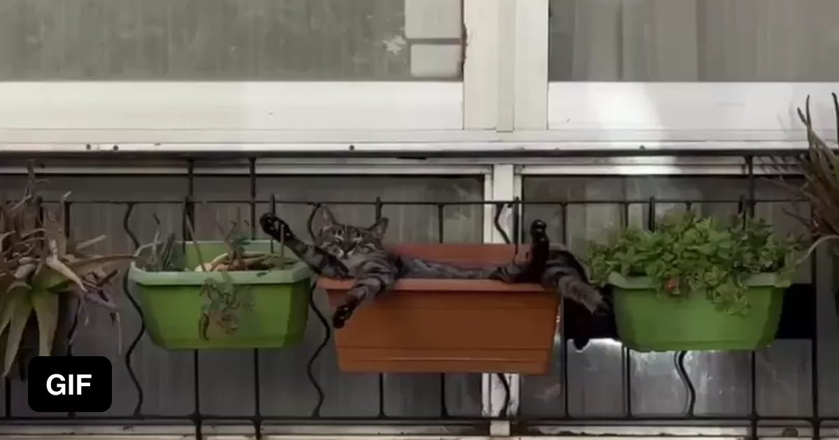 Finally, weekend is near - 9GAG