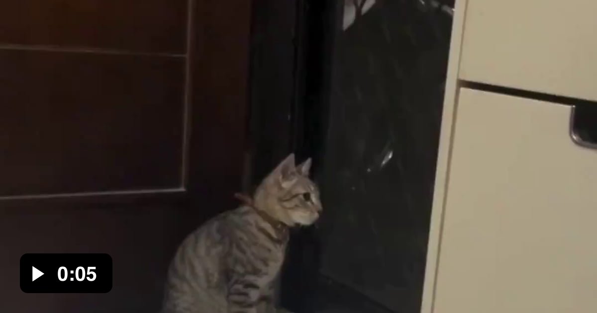 Copy and Paste - 9GAG