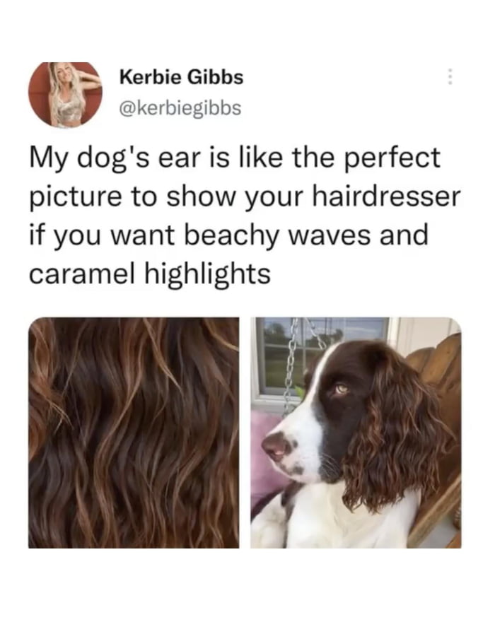 Finally found the perfect hair inspiration picture - 9GAG