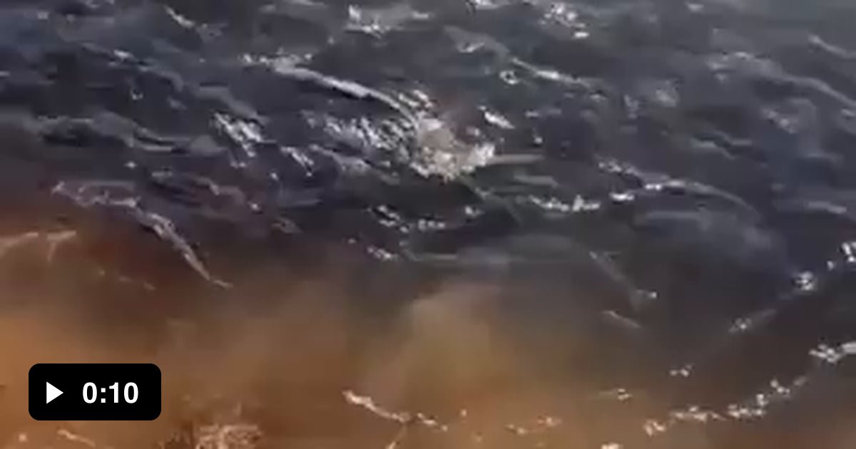 What's going on in the water? - 9GAG