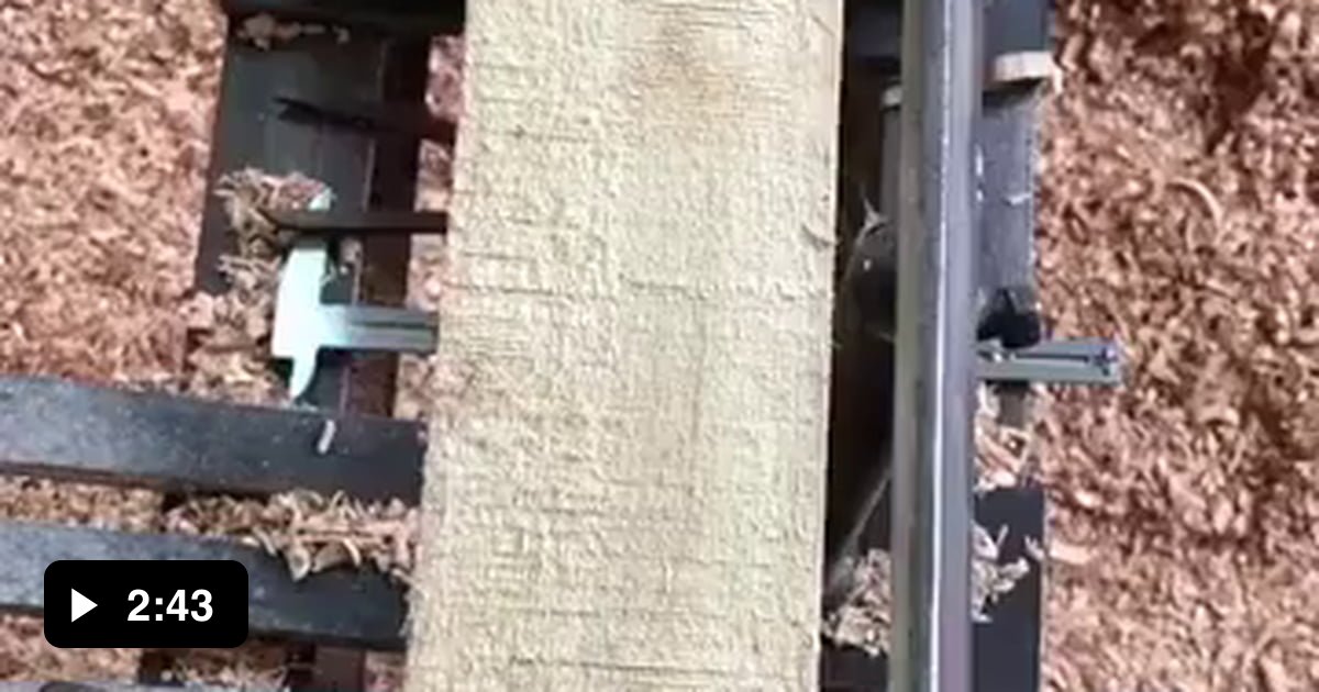 Satisfying wood cutting - 9GAG
