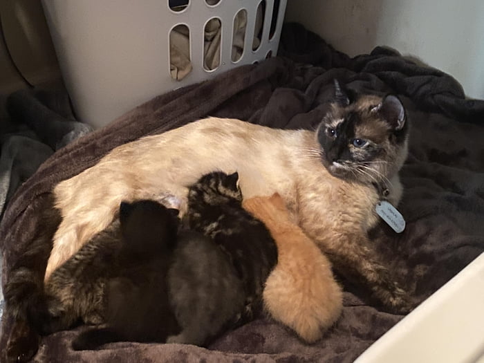 A proud mama with her jelly beans - 9GAG