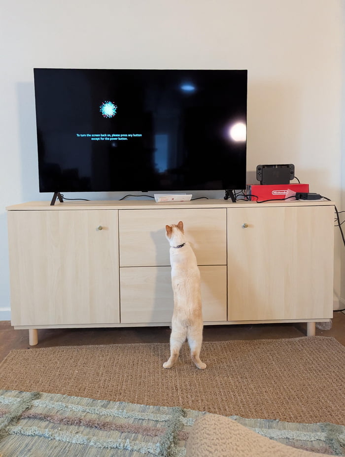 Best Buy Geek Squad supervisor inspecting the new TV - 9GAG