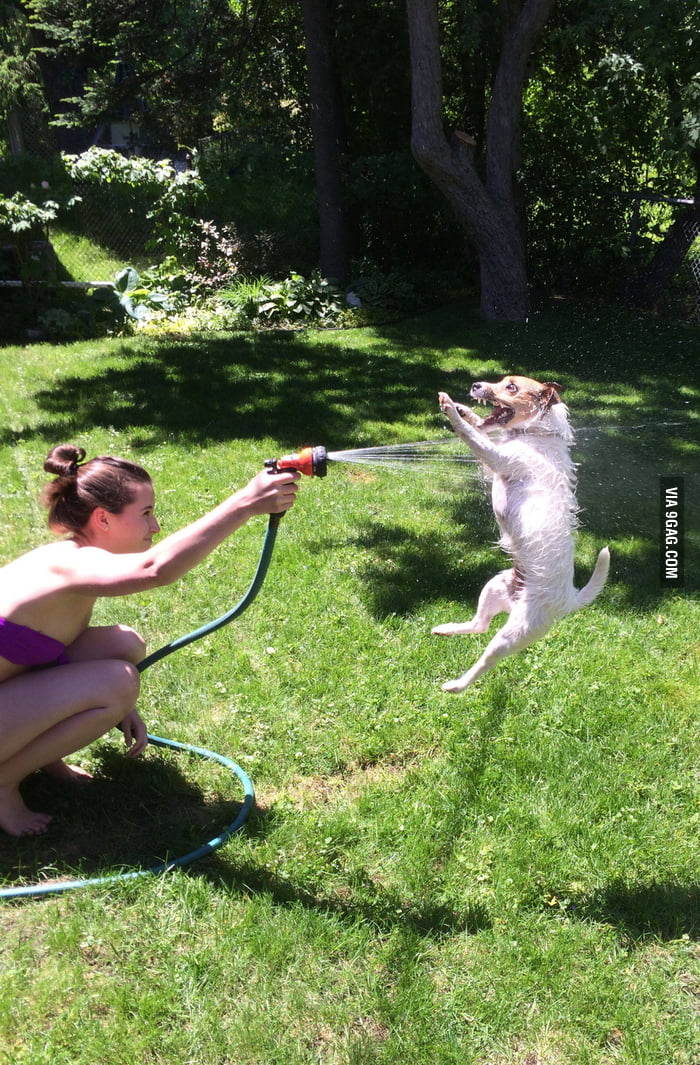 He has a slight obsession with the hose... - 9GAG