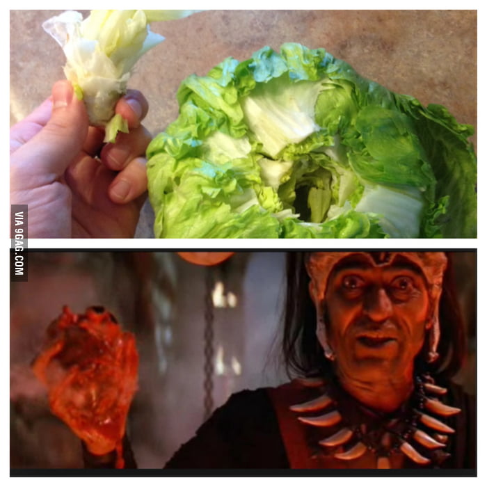 What I think every time I clean the lettuce.... - 9GAG