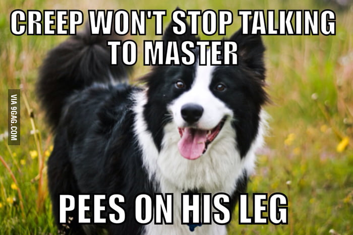 Good Guy Dog - 9GAG