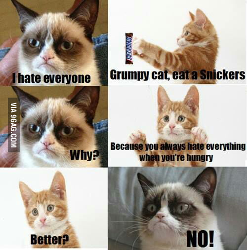 The snicker doesn't make grumpy cat better. - 9GAG