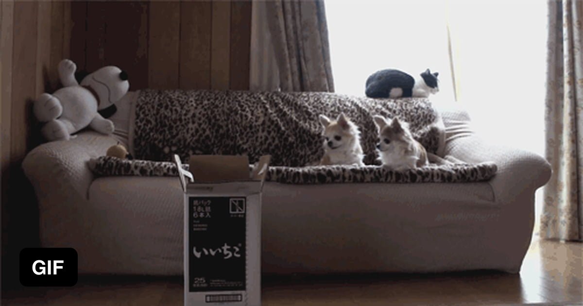 Almost perfect - 9GAG