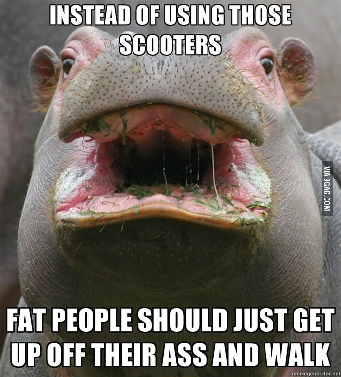Hippo-crite - 9GAG