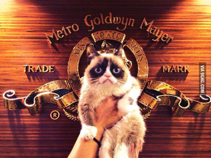 My good friend works at MGM. Grumpy Cat paid a visit today. - 9GAG