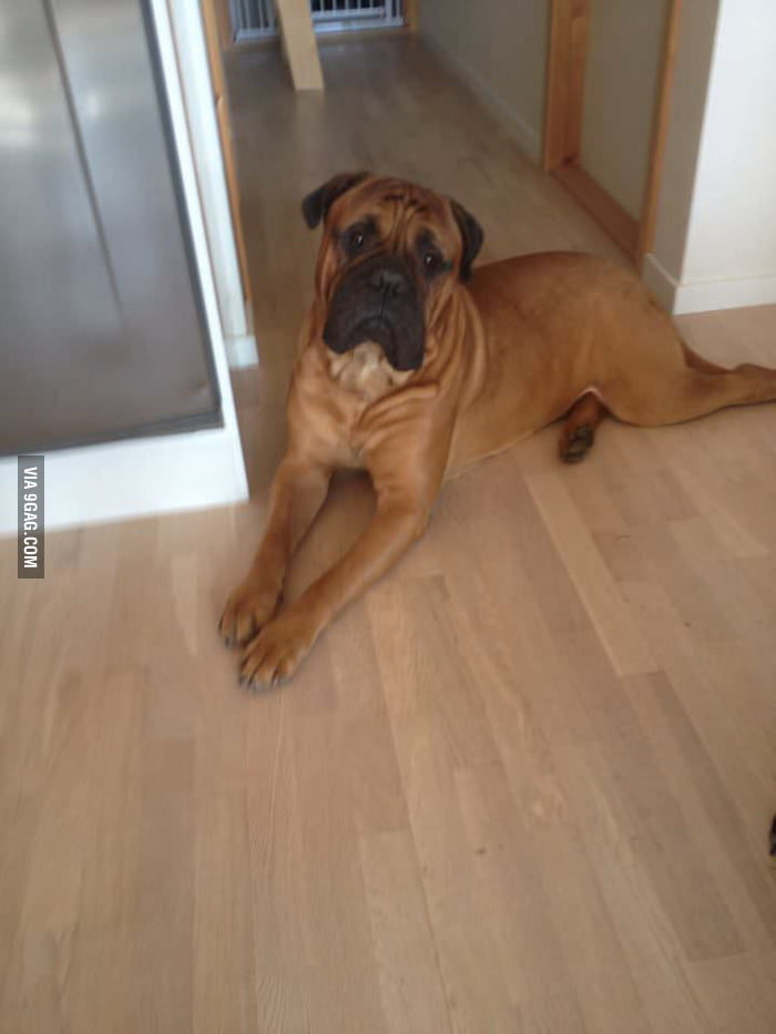 No NO NOO.... Oh. - 9GAG