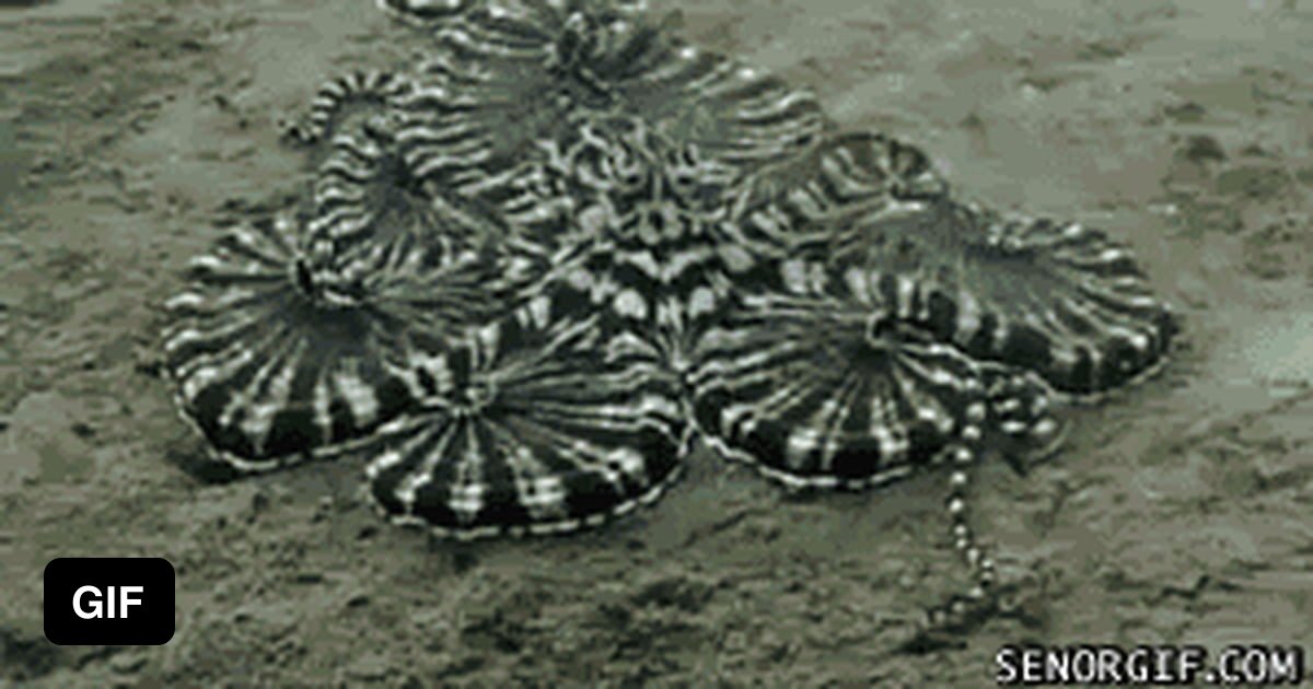 Attack Mode Engaged - 9GAG