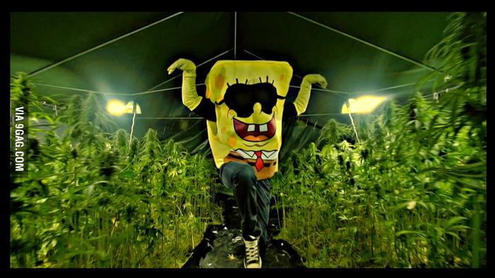 Have you ever been so high that you started making weitd poses in a ...