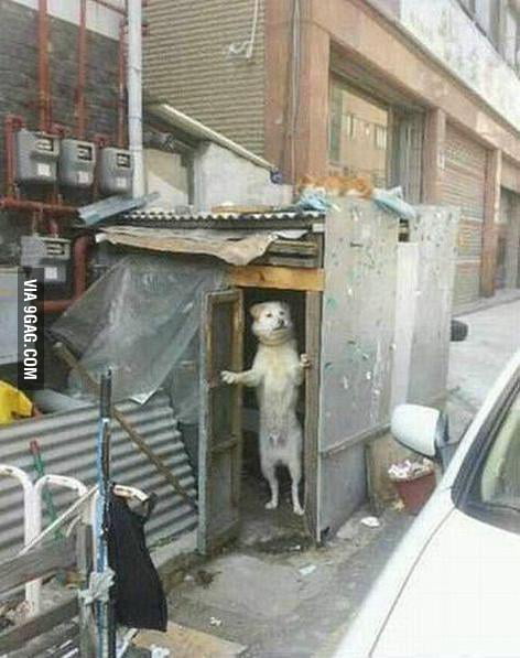 Get offa ma properteh! - 9GAG