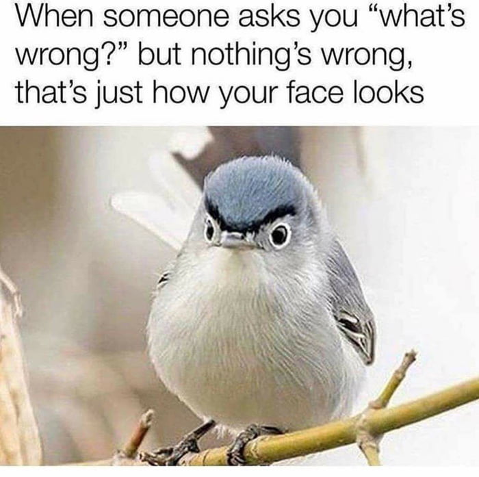 Resting B*tch Face - 9GAG