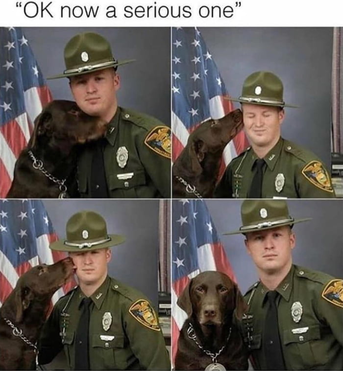 Rare police doggo taking pictures - 9GAG