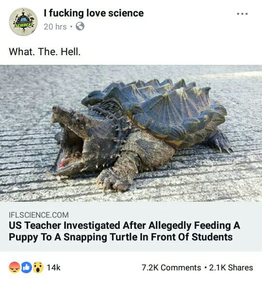 This is so wrong - 9GAG