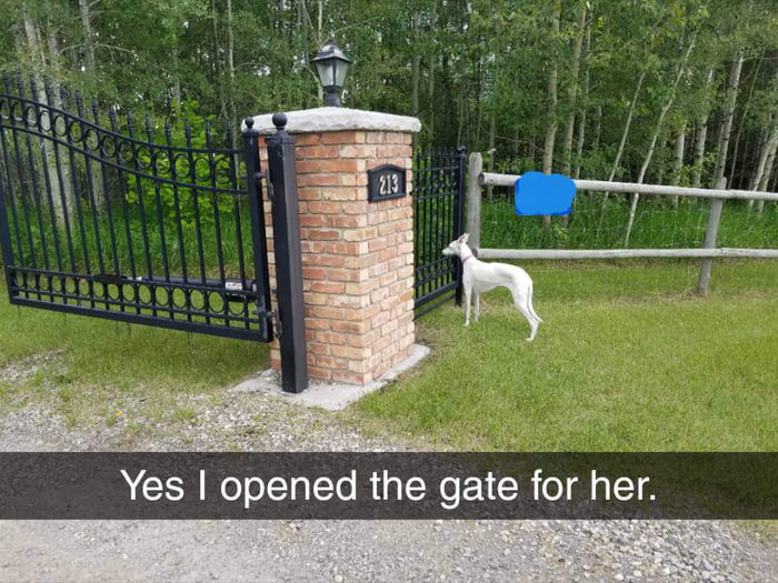 "I've made my choice!" - 9GAG