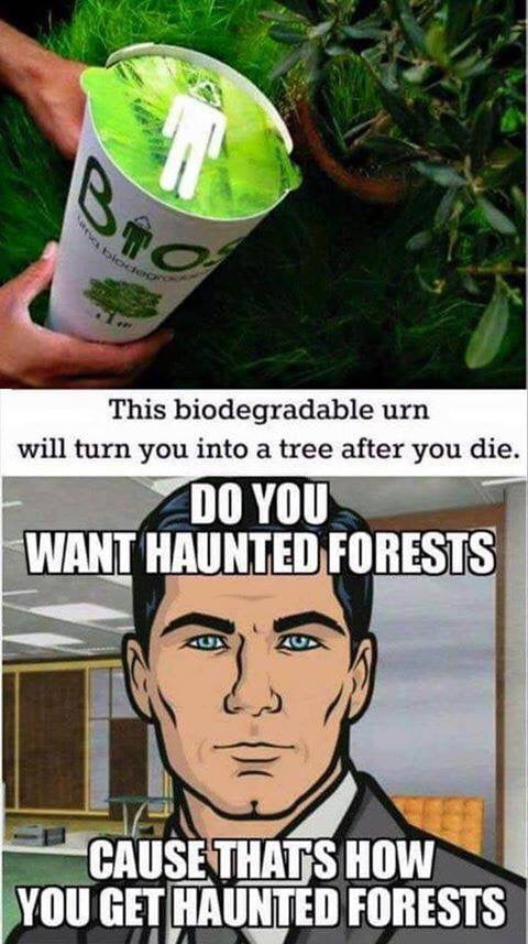 Because that is how you get haunted forests - 9GAG